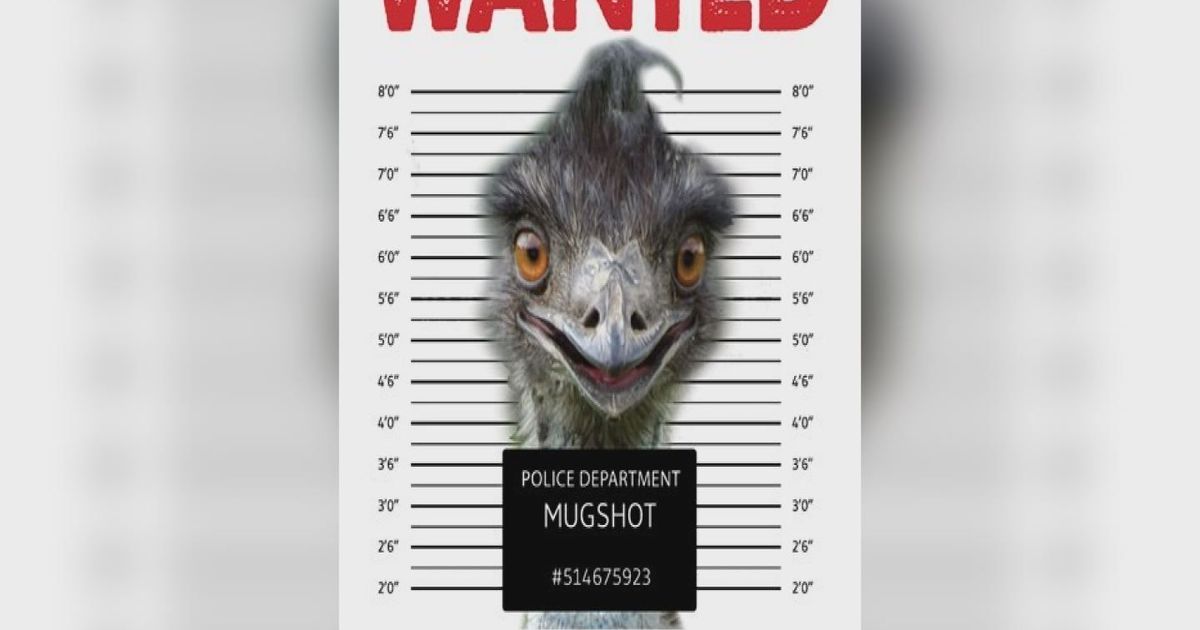 Munchkin | Printables.com