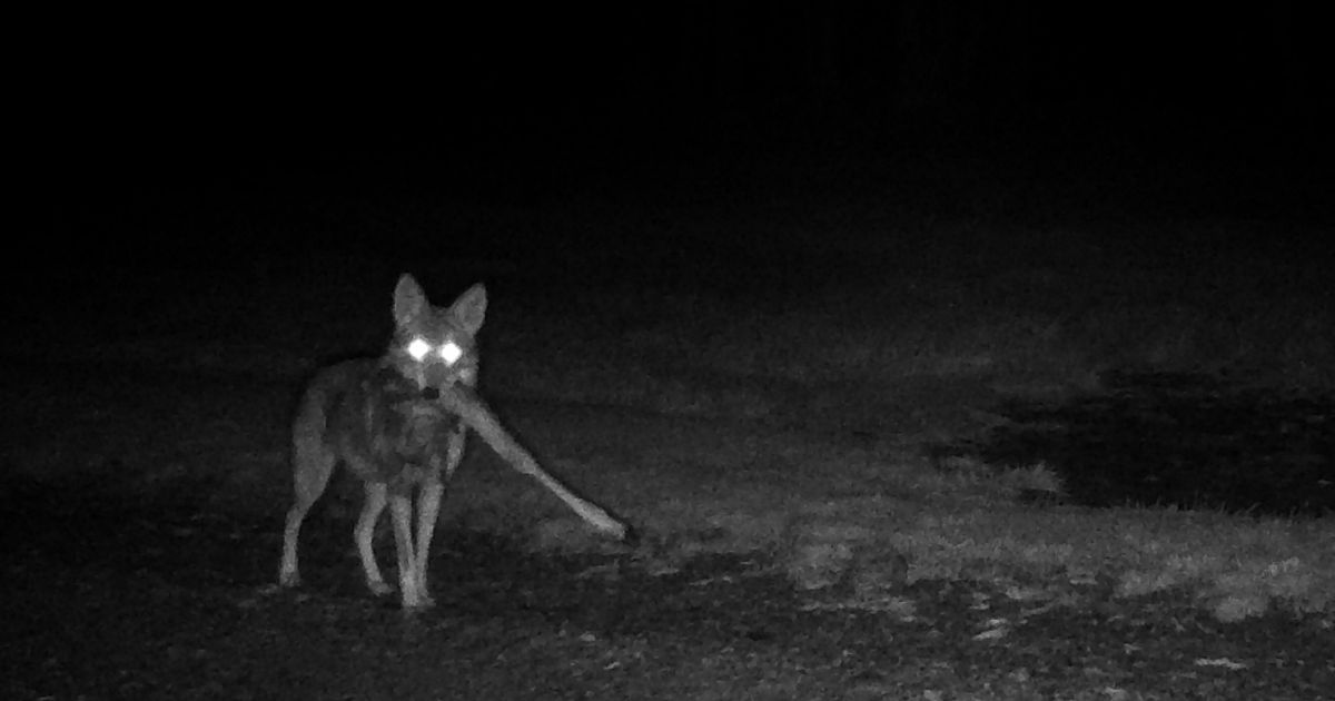 Charles Byram | Printables.com