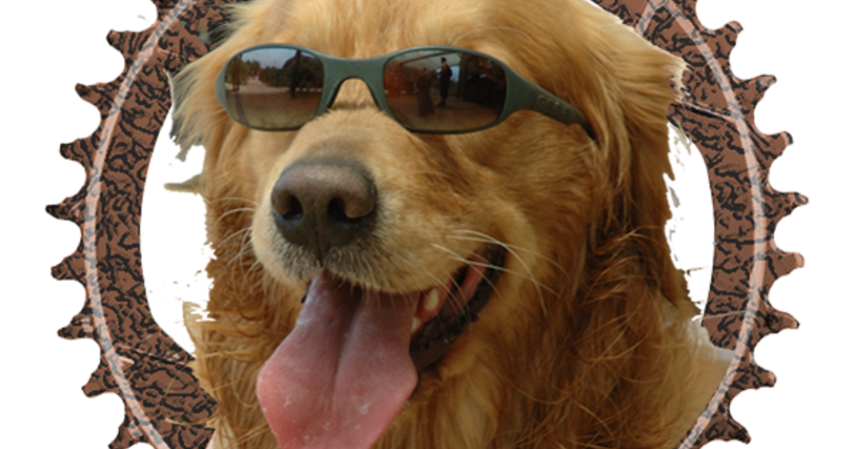 rbid | Printables.com