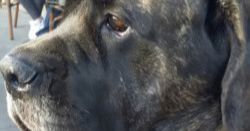 jbrnd | Printables.com