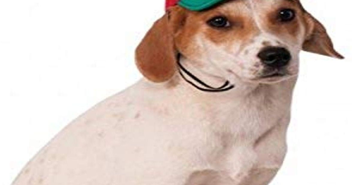 gizsgugya | Printables.com