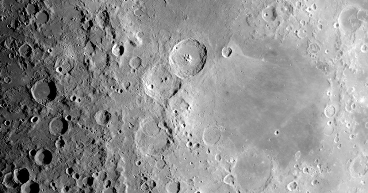 Owen | Printables.com