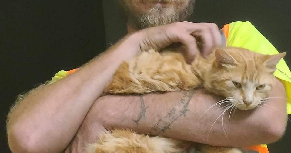 Alex Massey | Printables.com