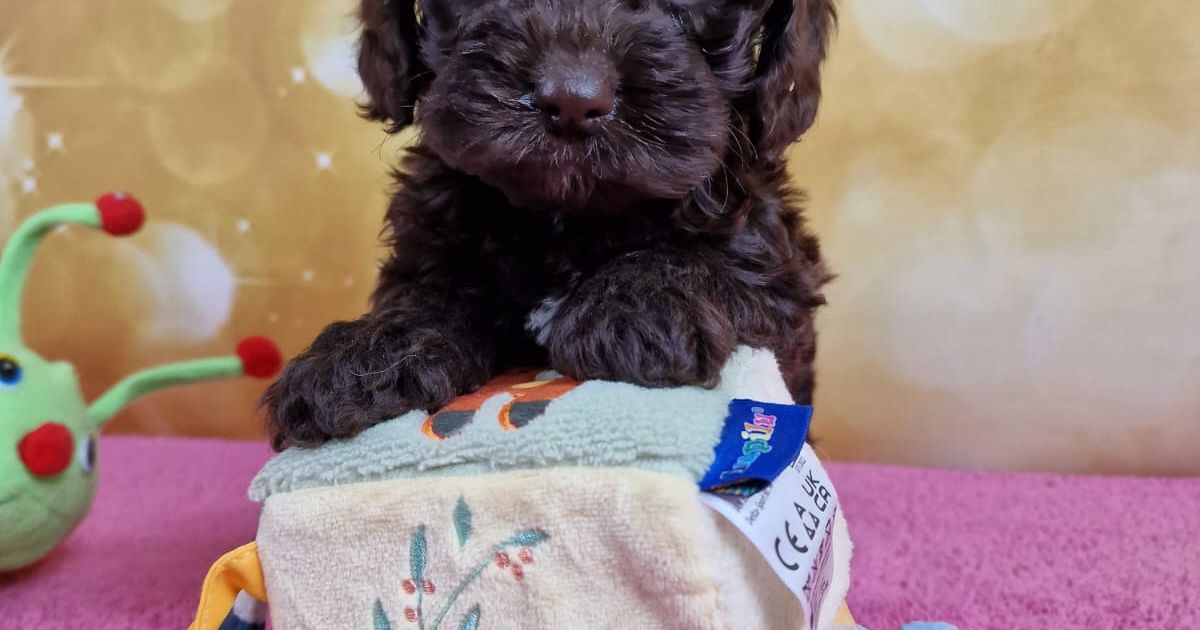 Marie Wagner | Printables.com