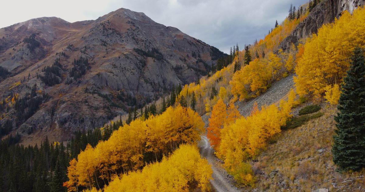 Carl Belcher | Printables.com