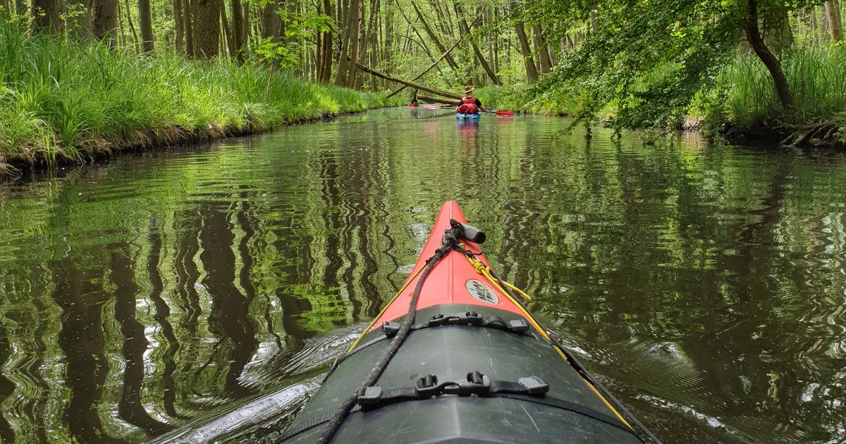 Thoni | Printables.com