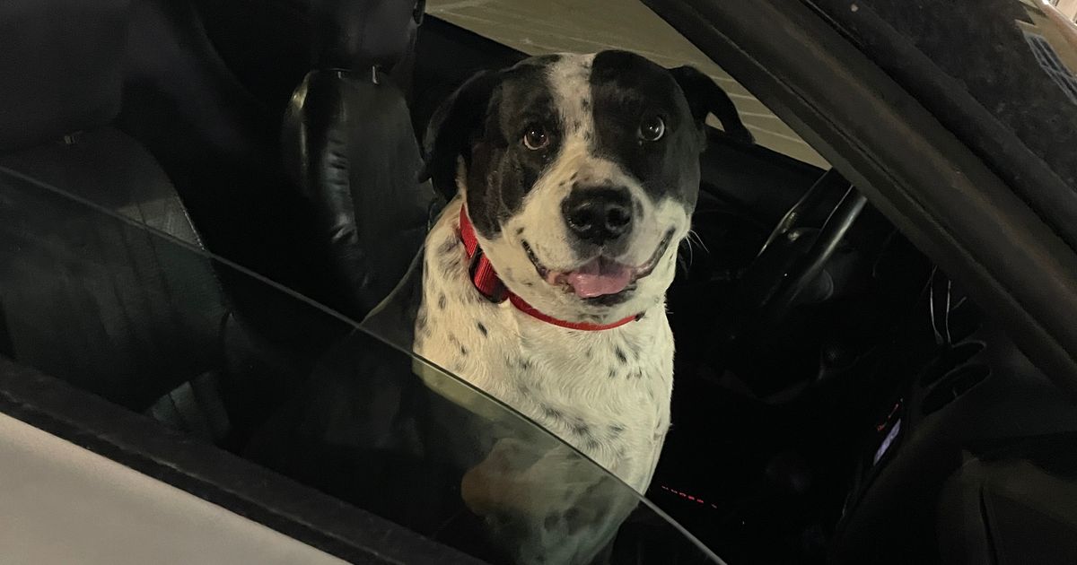 Nathan Hand | Printables.com