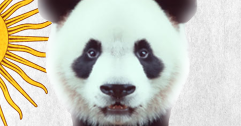 DrPanda | Printables.com