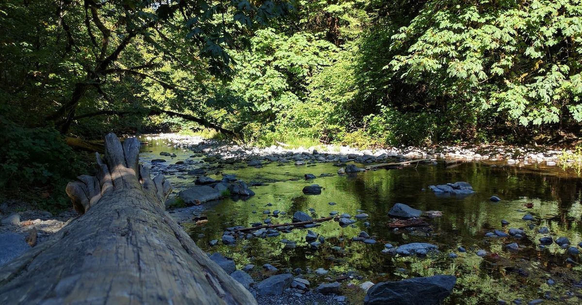 kanew | Printables.com