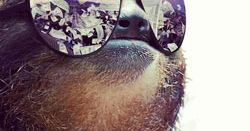 Jasper | Printables.com