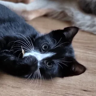 ING-engineering | Printables.com