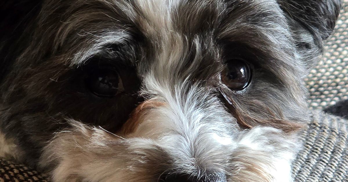 Christian Eckhardt | Printables.com