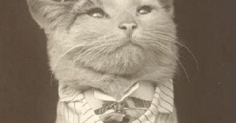 Germen | Printables.com