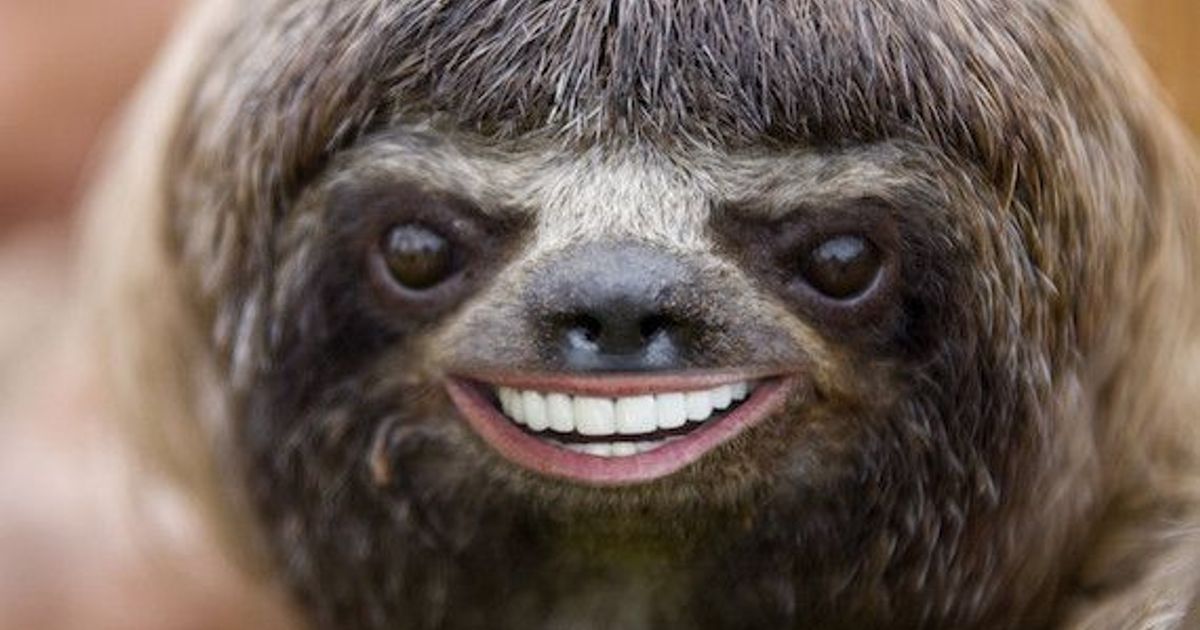 Gorgoton | Printables.com