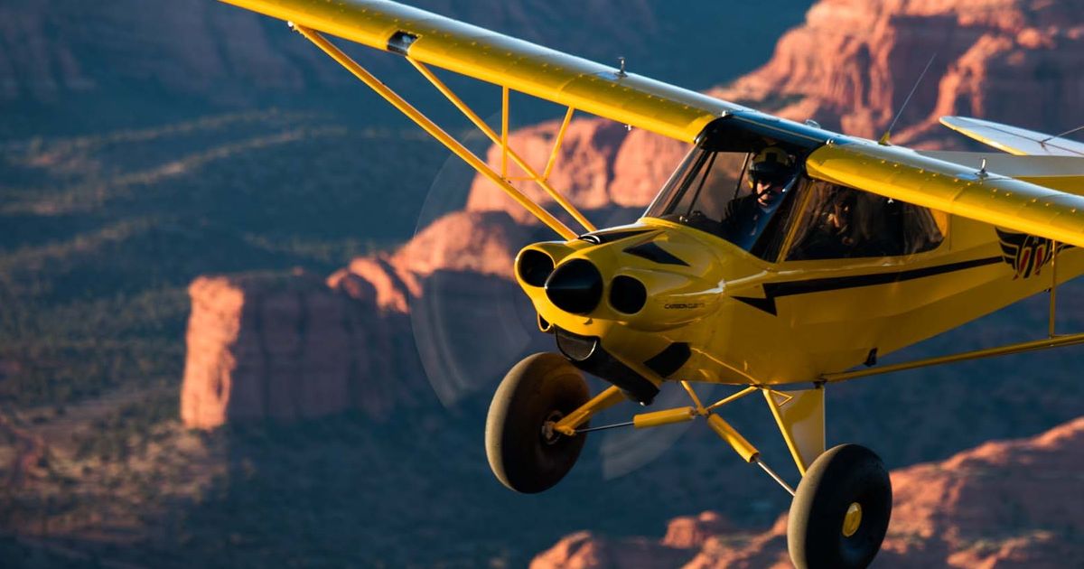 CatEye | Printables.com