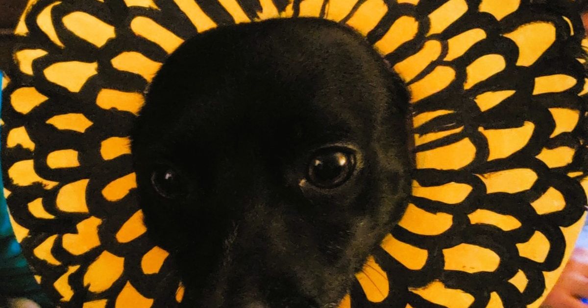 Jorge | Printables.com