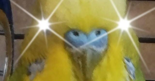 NoOne3D | Printables.com