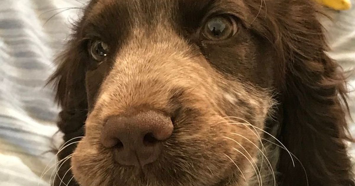 gb160 | Printables.com