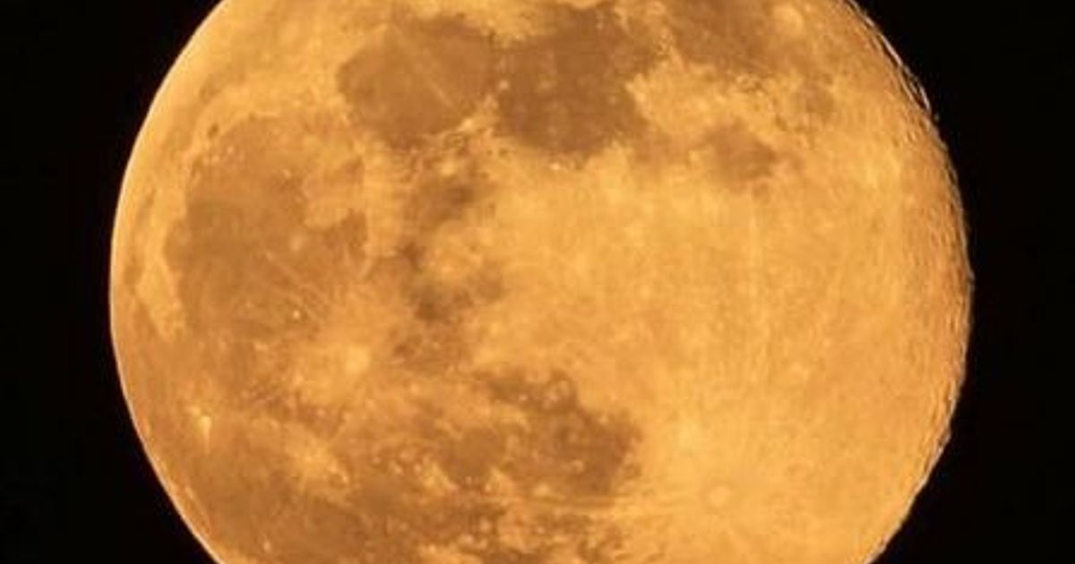 Goldmond | Printables.com