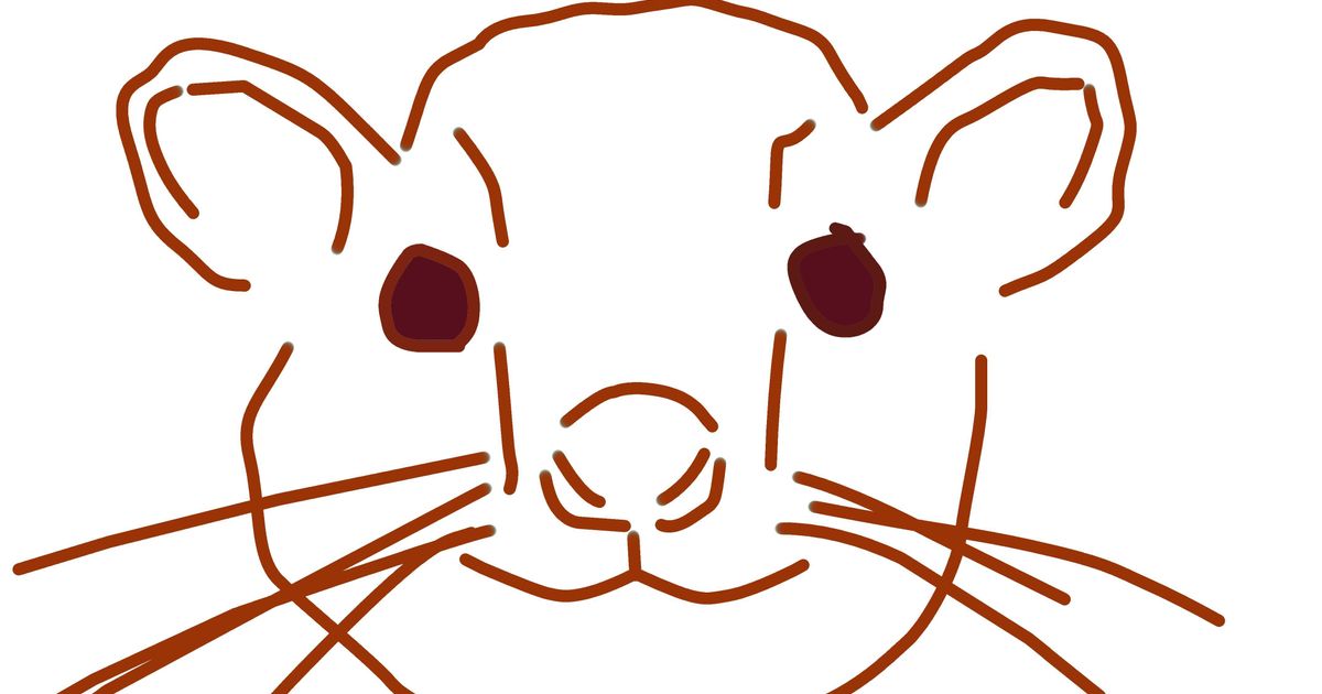 Hyrax | Printables.com