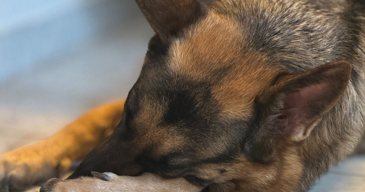 PLA | Printables.com