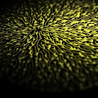Naoki Hayashi | Printables.com