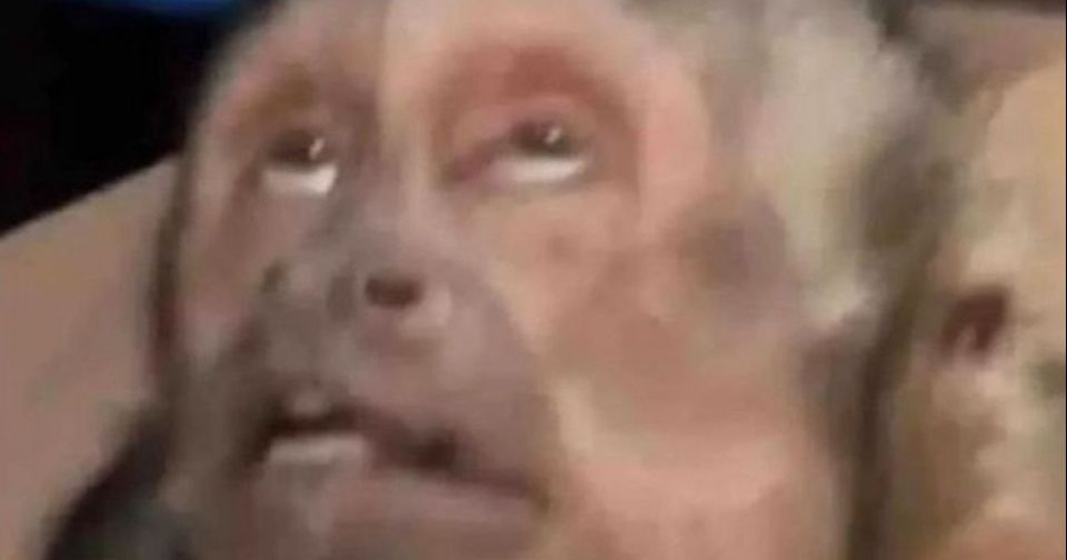 PabloR | Printables.com