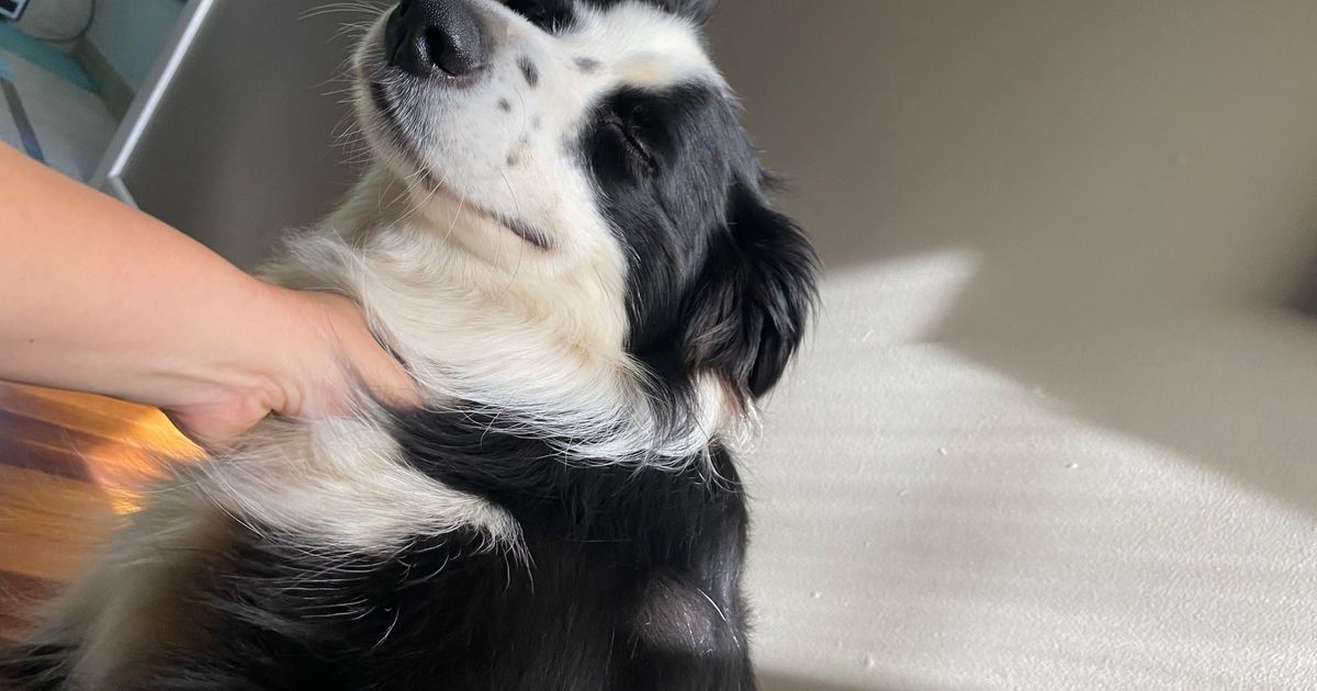 neon | Printables.com