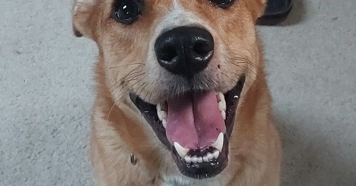 Retro Redstone | Printables.com