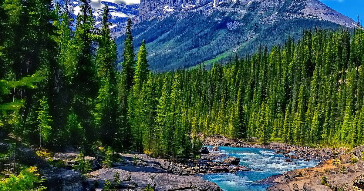 Alexander ONeill | Printables.com