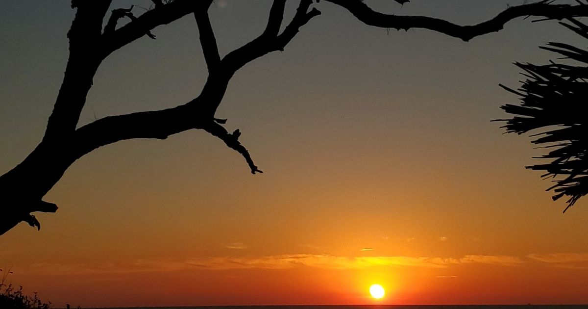 plane_tech | Printables.com