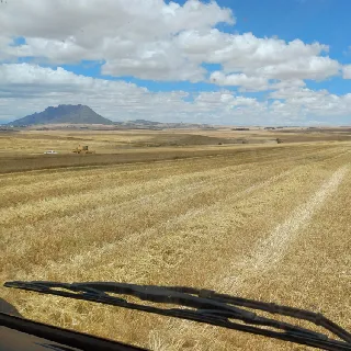 50cal | Printables.com