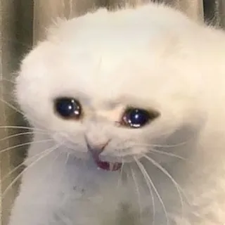 NotSoGood | Printables.com