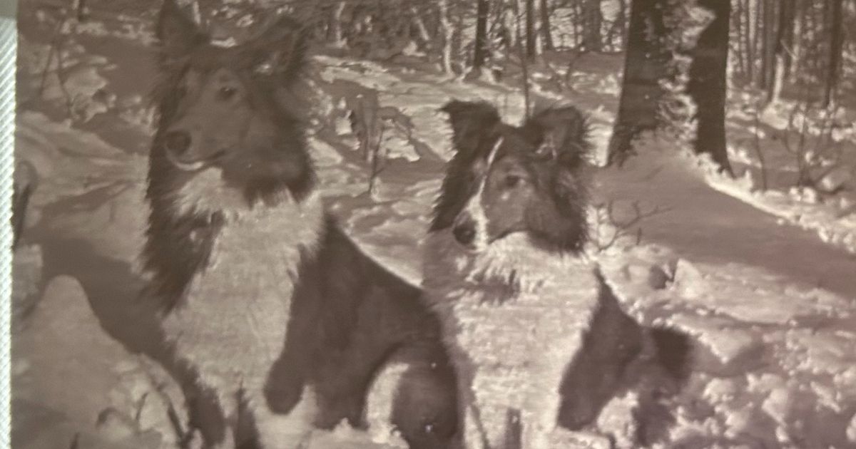 RMC_Design | Printables.com