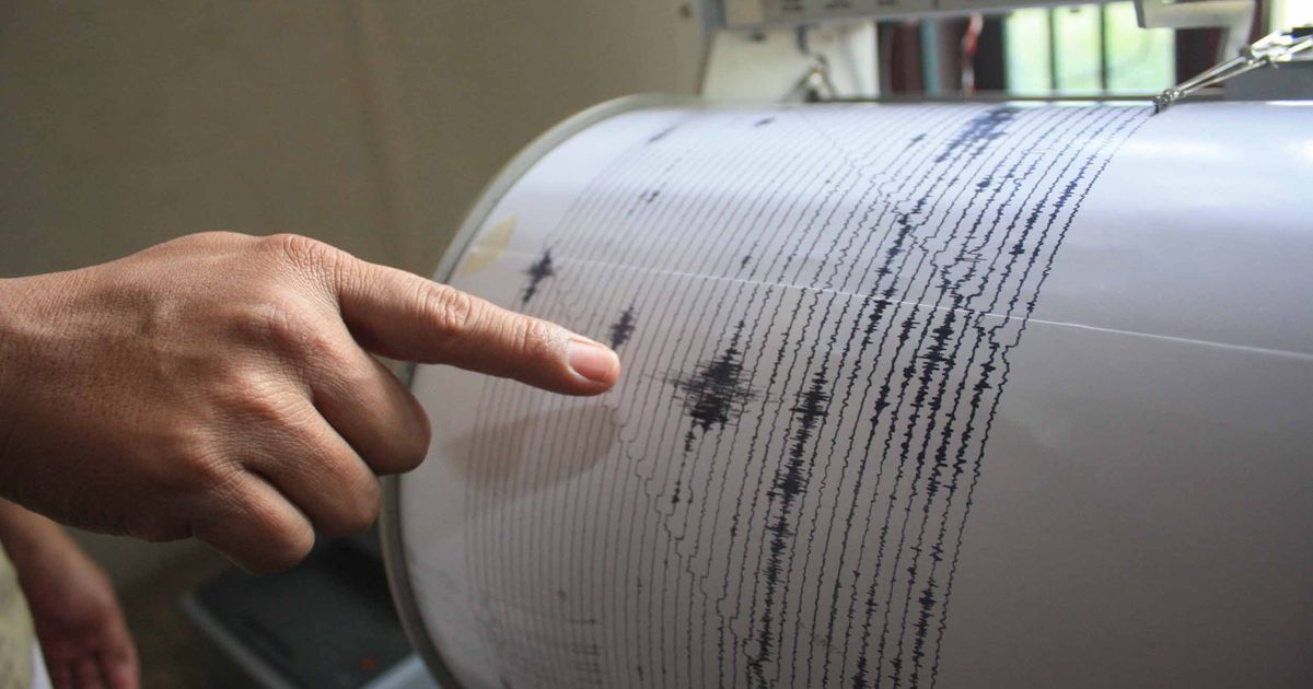 Seismograf | Printables.com