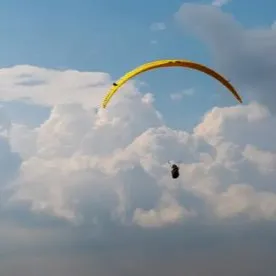 Wingover | Printables.com