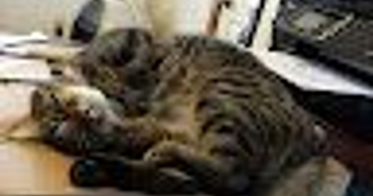 Kyle | Printables.com