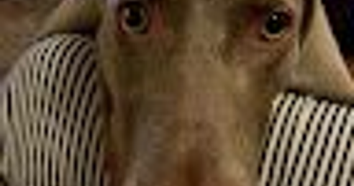 Alison Foster | Printables.com