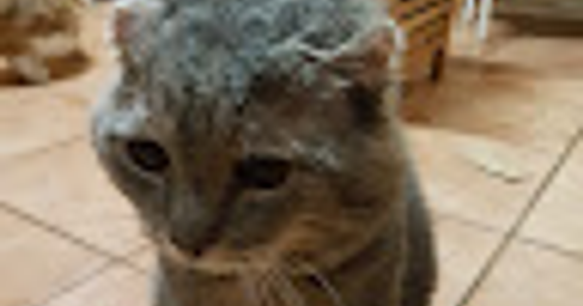 Deje | Printables.com