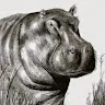 Dan Schwartz | Printables.com