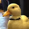 Pato | Printables.com