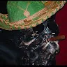 Calamorro III | Printables.com