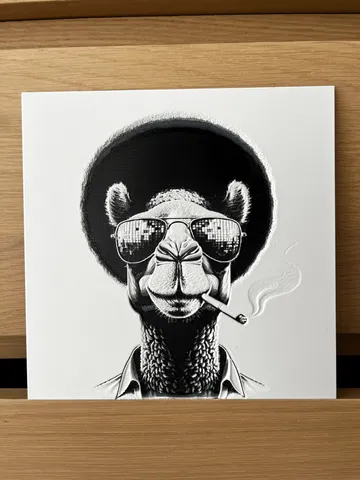 Camel Disco by Don Matis | Download free STL model | Printables.com