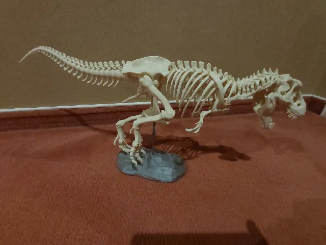 T-Rex Skeleton fixed and printable by icefox | Download free STL model ...