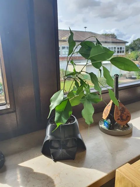 Make of Cute Darth Vader - Star Wars Pot Plant by Felix Selter ...