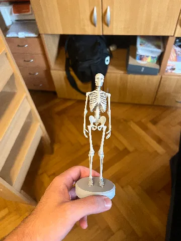 Skeleton by Peter Farell | Download free STL model | Printables.com