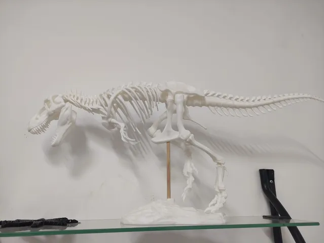 T-Rex Skeleton fixed and printable by icefox | Download free STL model ...