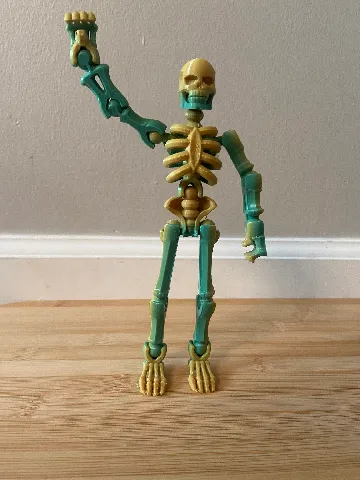 Poseable skeleton by Fidget Factory | Download free STL model ...