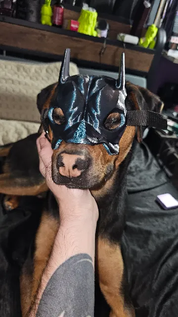 Make of Remix to Mask for Dog by Karl-Marx | Download free STL model ...