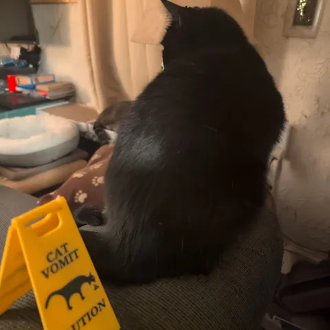 Cat Vomit Caution Sign (V2 Better Hinge) by Hobo4ssassin | Download ...